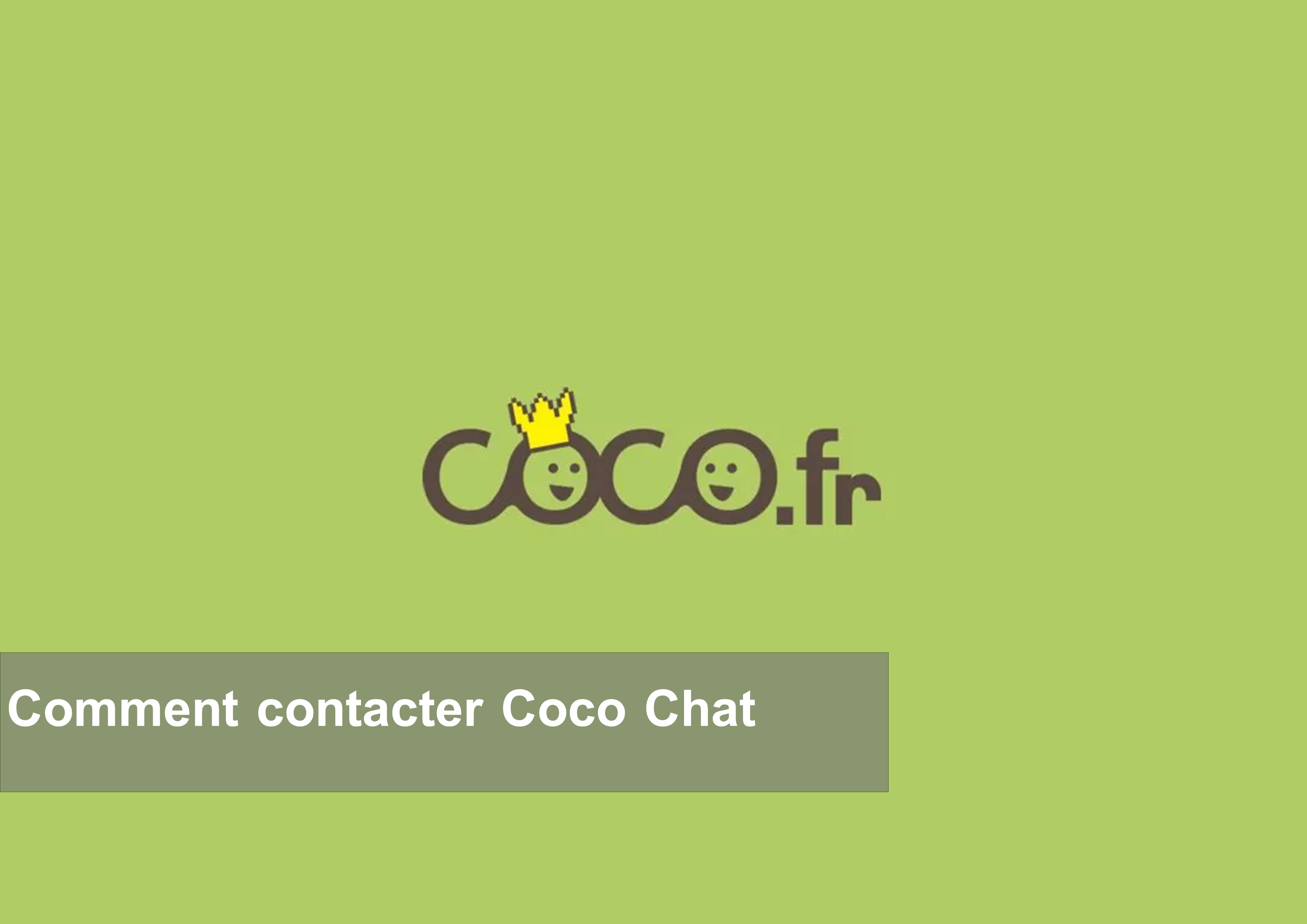 Comment contacter Coco Chat : Guide complet pour joindre le service ...