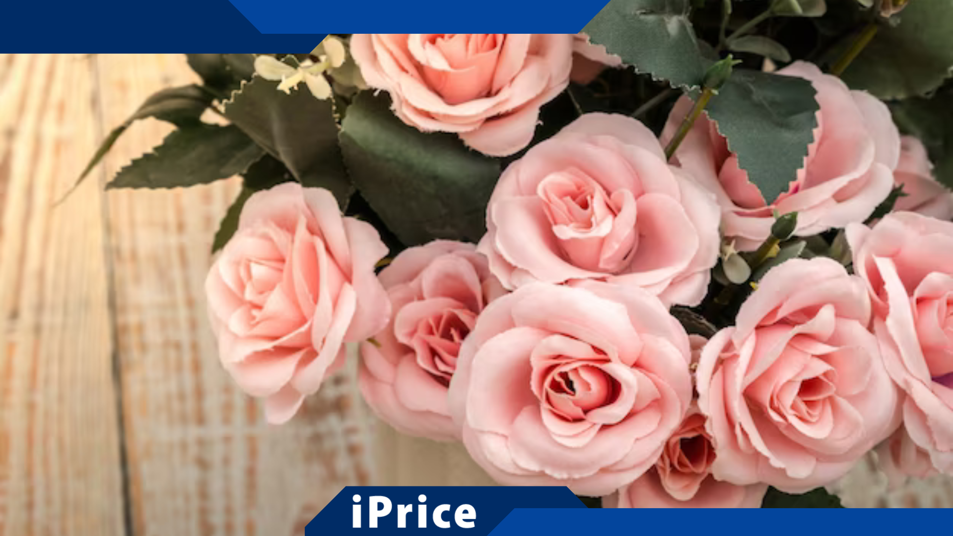 Combien coûte une rose ? Découvrez la variation des prix en fonction du ...