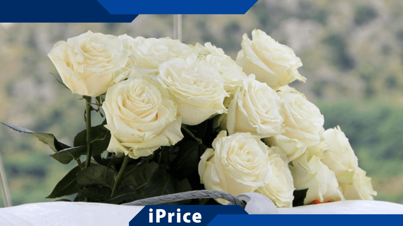 Combien coûte une rose ? Découvrez la variation des prix en fonction du ...