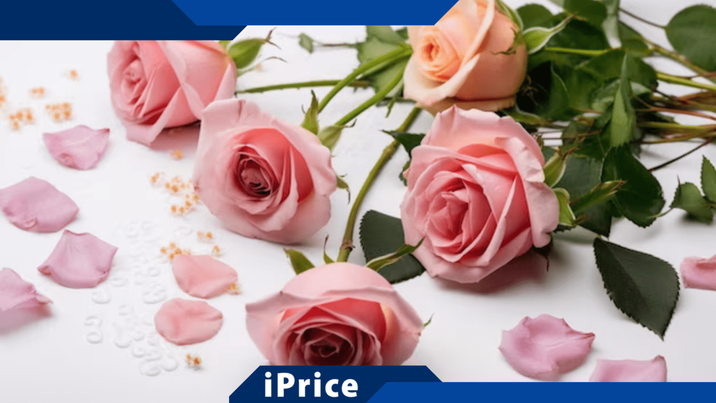 Combien coûte une rose ? Découvrez la variation des prix en fonction du ...